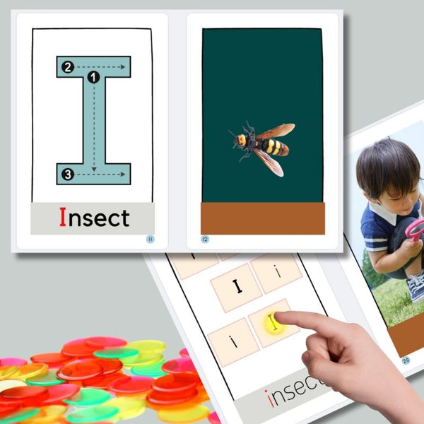 I is for Insect: Alphabet Learning Book for Kindergarten & Preschool ...